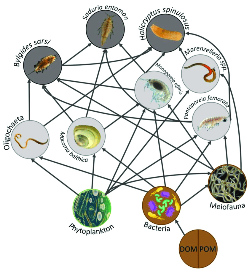 tutorial-foodweb-data | data-science-in-ees-2024-tutorial-tutorial-instructions-2024 created by ...