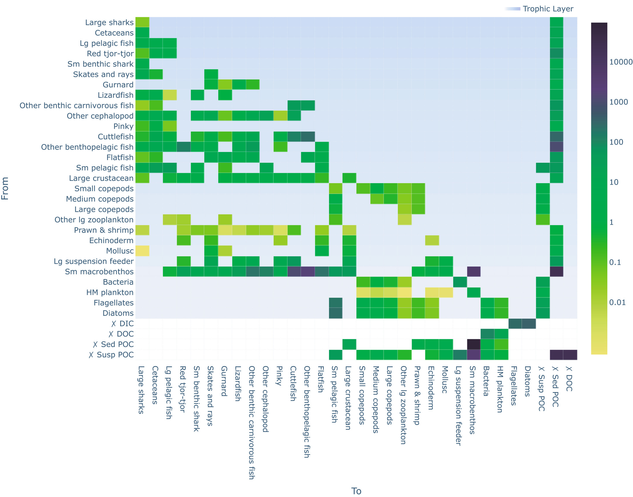 tutorial-foodweb-data | data-science-in-ees-2024-tutorial-tutorial-instructions-2024 created by ...